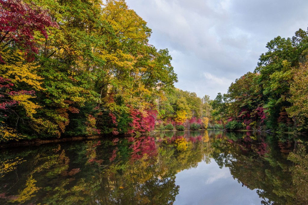Fall Hike - Metro Parks - Central Ohio Park System