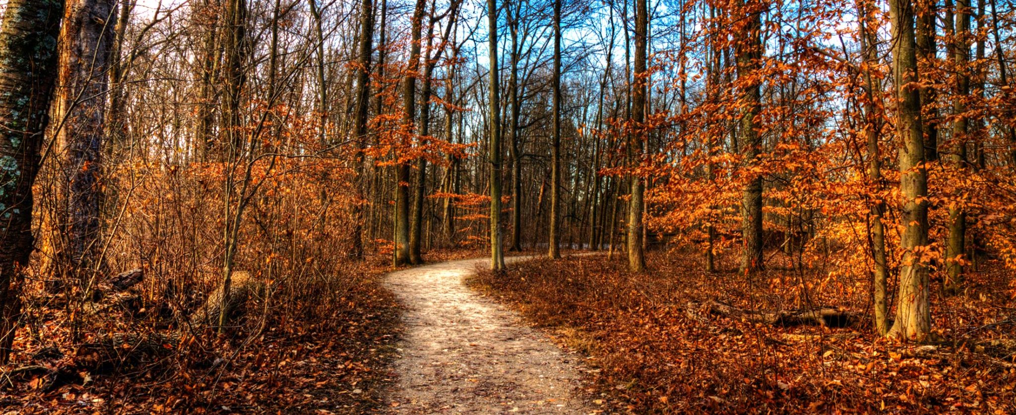 Fall Colors Hike - Metro Parks - Central Ohio Park System