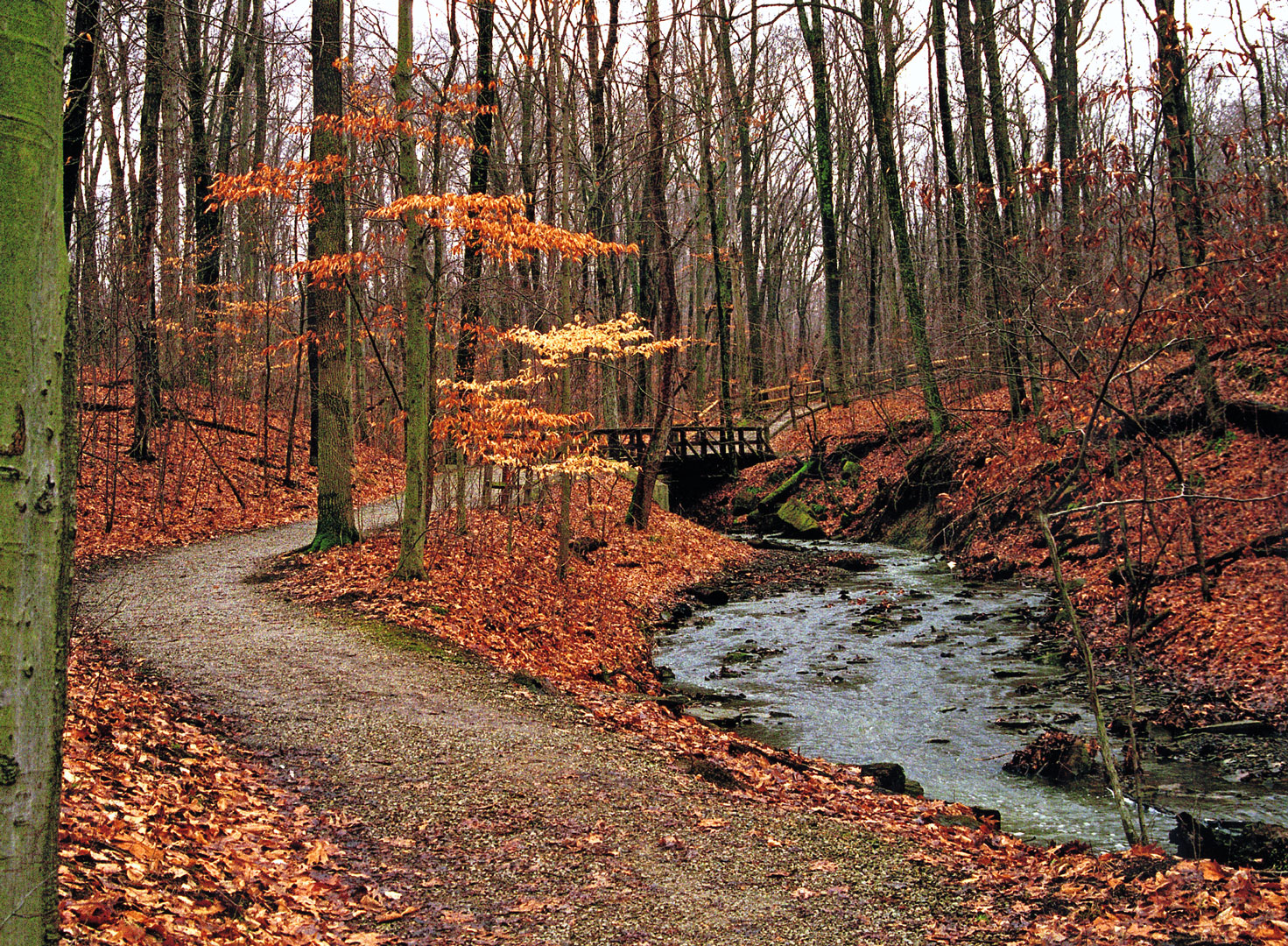 Highbanks Dripping Rock Trail – PBIO 1030 Plants And People with Dr ...