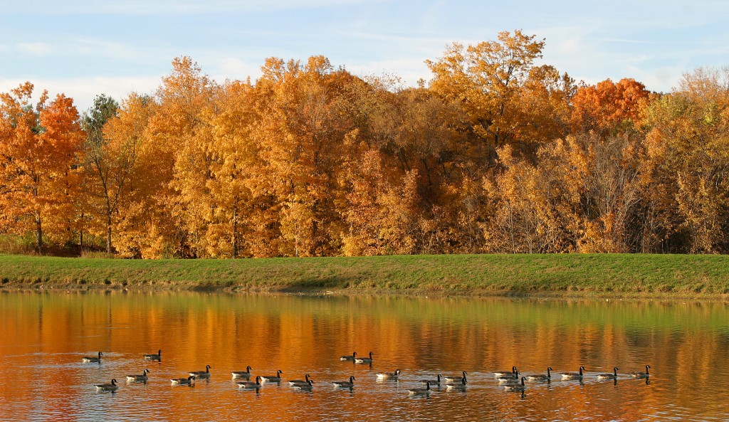 Fall Foliage Hike - Metro Parks - Central Ohio Park System