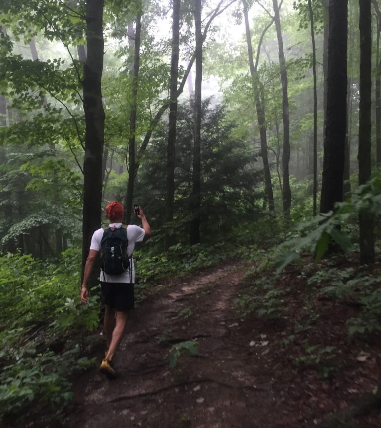 Summer Solstice Hike - Metro Parks - Central Ohio Park System
