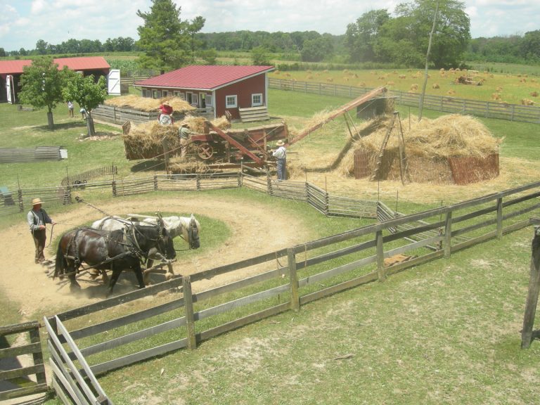 Threshing is done the old-fashioned way at Slate Run Living Historical ...