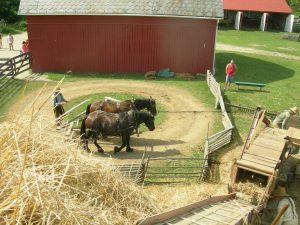 Threshing is done the old-fashioned way at Slate Run Living Historical ...