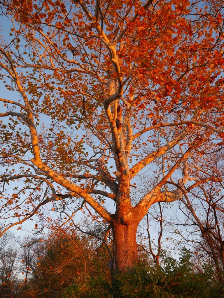 My Favorite Places: Scott Felker - Metro Parks - Central Ohio Park System