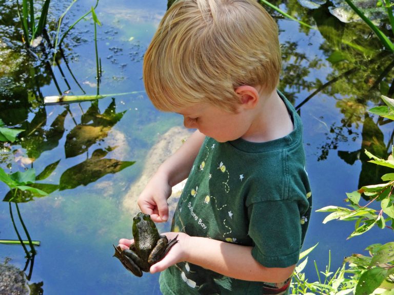 Baby animals in Metro Parks - Metro Parks - Central Ohio