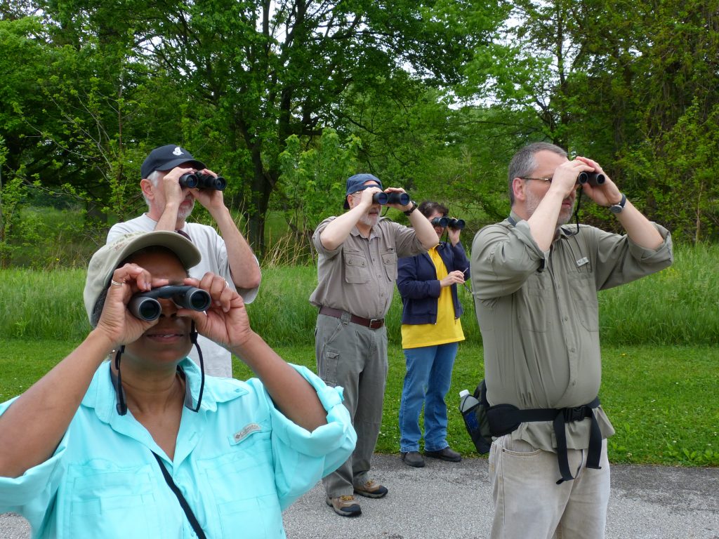 Beginning Birding Hike - Metro Parks - Central Ohio Park System