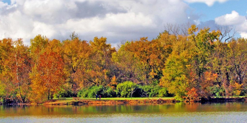 Fall Tree Identification Walk - Metro Parks - Central Ohio Park System