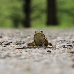 Wander & Wonder: Picture Your Metro Parks - Exhibited Photos - Metro ...