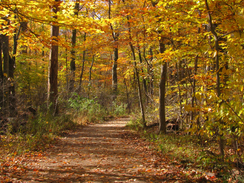 Falling into fall - Metro Parks - Central Ohio Park System