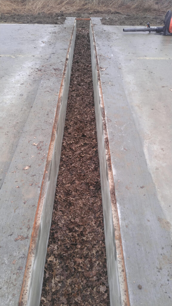 The tunnel of love: Keeping salamanders off the streets - Metro Parks ...