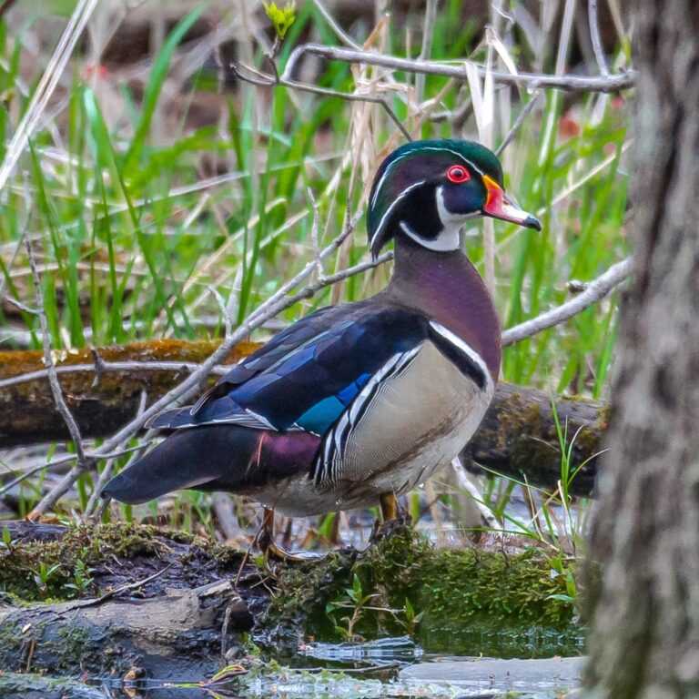February is the month of LOVE! - Metro Parks - Central Ohio Park System