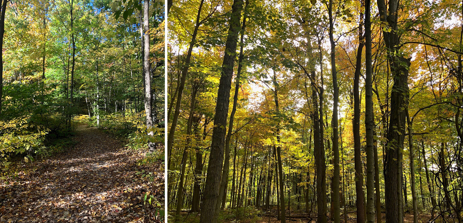 Walter A. Tucker State Nature Preserve at Blacklick Woods Metro Park ...