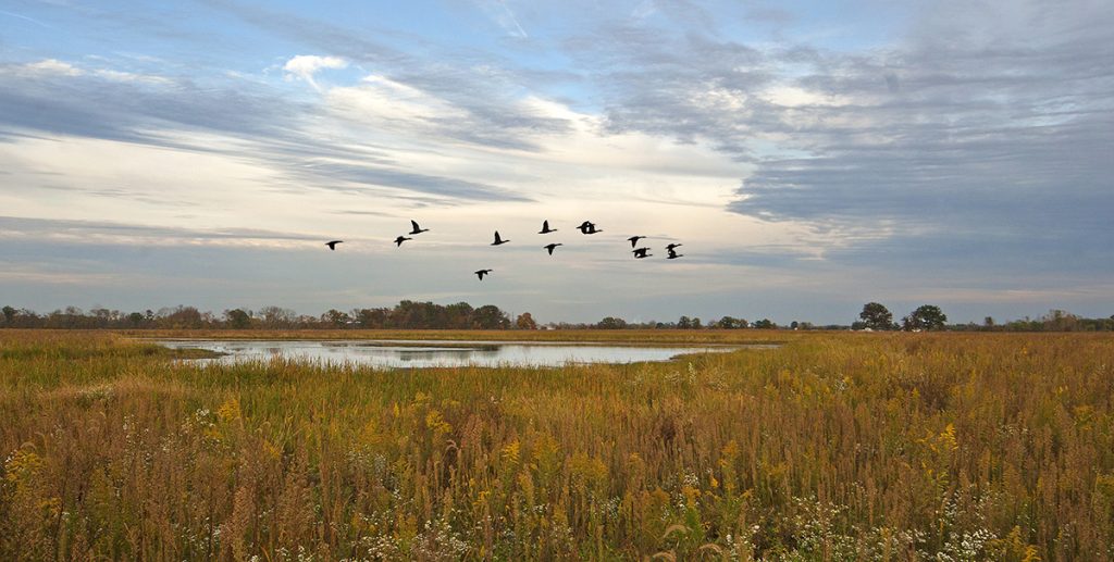 20 IN 22: The Darby Creeks and the Darby Plains - Metro Parks - Central ...
