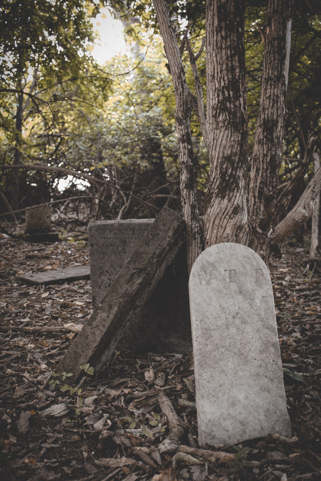 Written In Stone: Visit Cemeteries at Metro Parks - Metro Parks ...