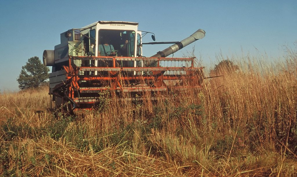 The Prairie Plow through history and today's Metro Parks prairies ...