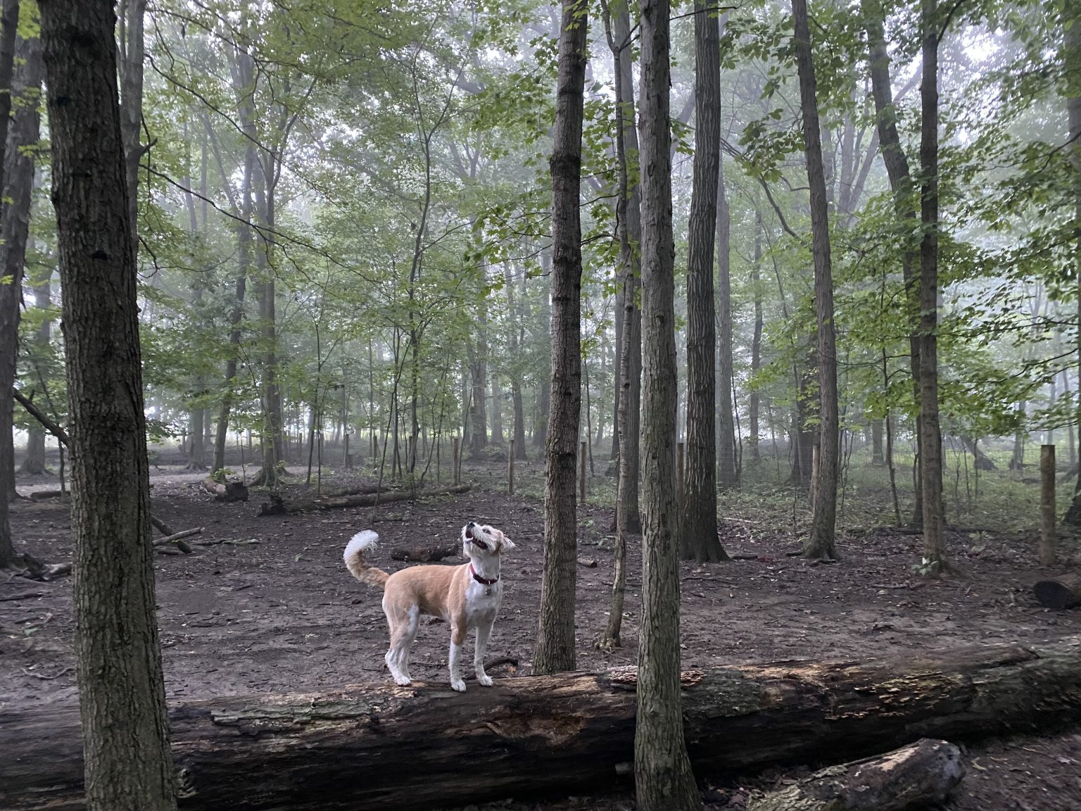 10 Best Activities to do at Metro Parks Over Spring Break - Metro Parks ...