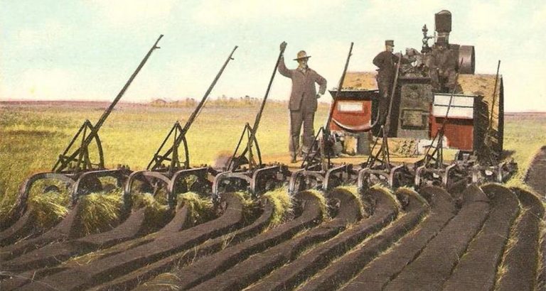 The Prairie Plow through history and today's Metro Parks prairies ...
