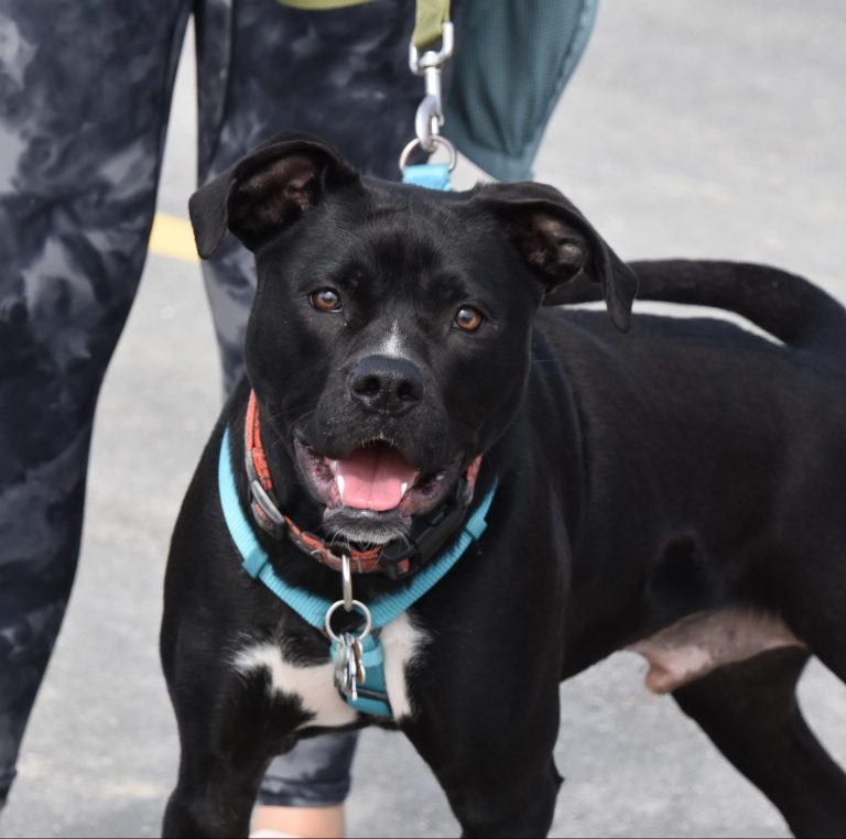 Tails & Trails - Metro Parks - Central Ohio Park System