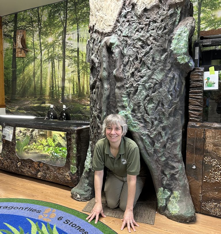 Behind the Parks: Meet Stephanie West at Blendon Woods - Metro Parks ...