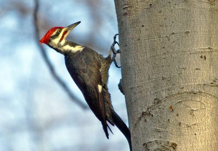 Upcoming Events - Metro Parks - Central Ohio Park System