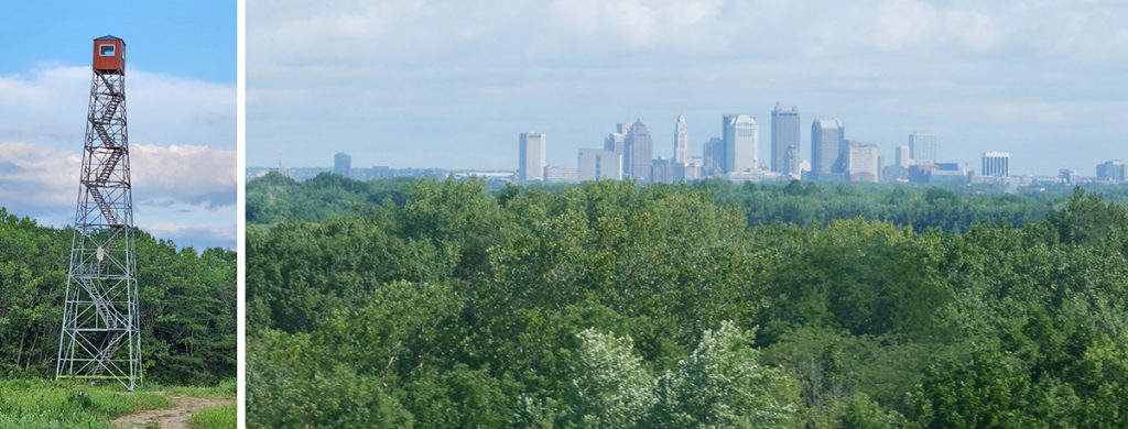 Are you bold enough to climb the fire tower? - Metro Parks - Central ...