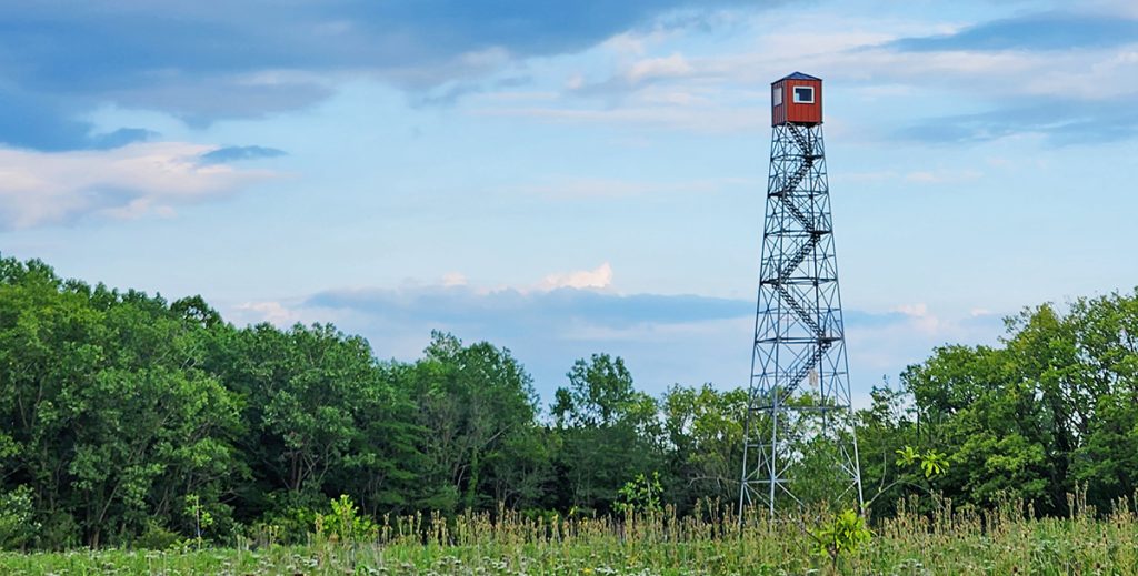 Are you bold enough to climb the fire tower? - Metro Parks - Central ...