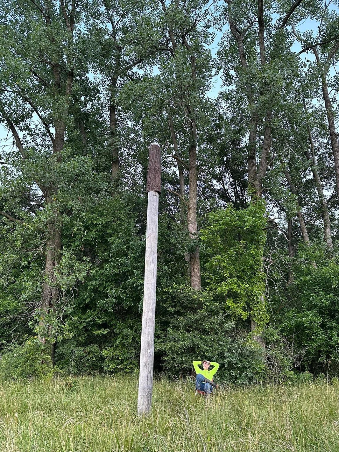 Bat surveys yield good news - Metro Parks - Central Ohio Park System