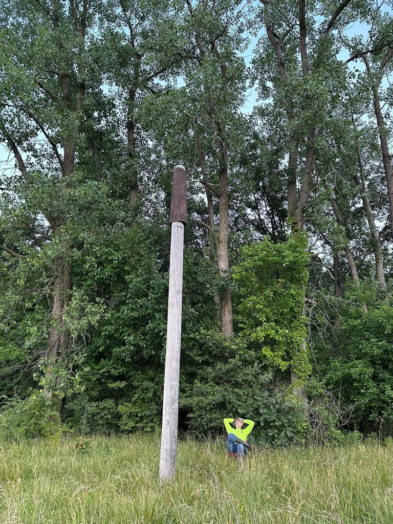 Bat surveys yield good news - Metro Parks - Central Ohio Park System