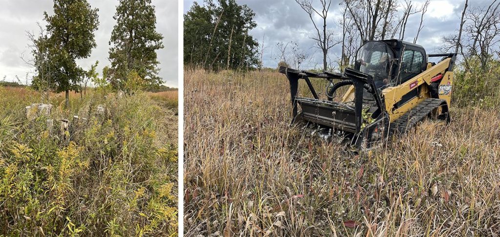 Death of a Hedgerow - Metro Parks - Central Ohio Park System