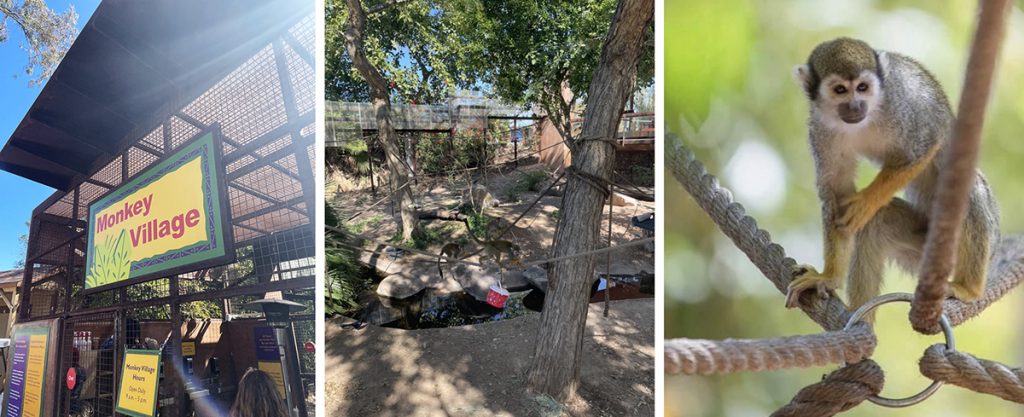 Behind the Parks: Meet Cassie at Blacklick Woods Golf Courses - Metro ...