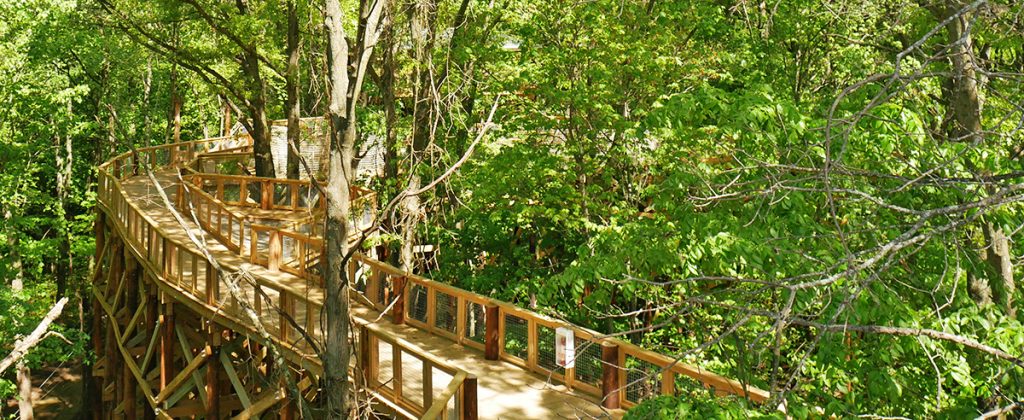 Canopy Walk is your gateway to the sky - Metro Parks - Central Ohio ...