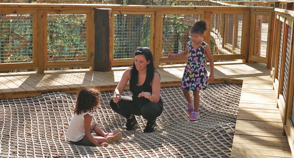 Canopy Walk is your gateway to the sky - Metro Parks - Central Ohio ...