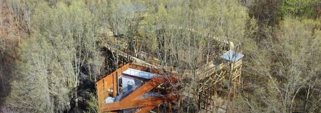 Tim Talks: Blacklick Woods Canopy Walk - Metro Parks - Central Ohio ...