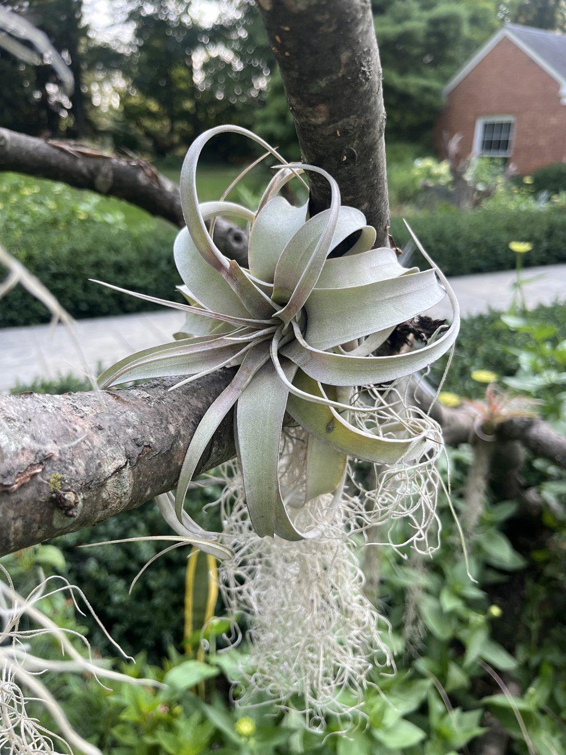 Elements of Nature: Earth, Air, Fire and Water - Metro Parks - Central ...