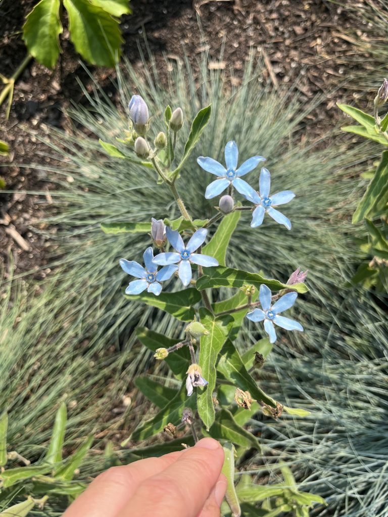 Elements of Nature: Earth, Air, Fire and Water - Metro Parks - Central ...