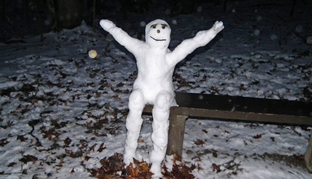 Snowflakes - a cold blast from the past - Metro Parks - Central Ohio ...