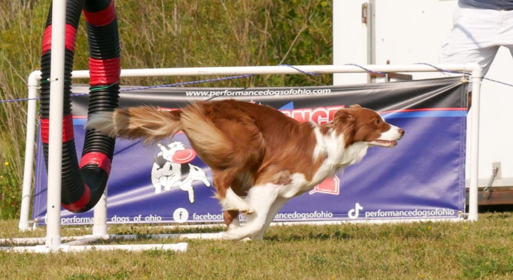 Bark Bash Returns to Prairie Oaks - Metro Parks - Central Ohio Park System