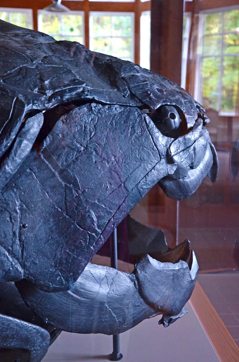 Dunkleosteus - the world's deadliest fish - Metro Parks - Central Ohio ...