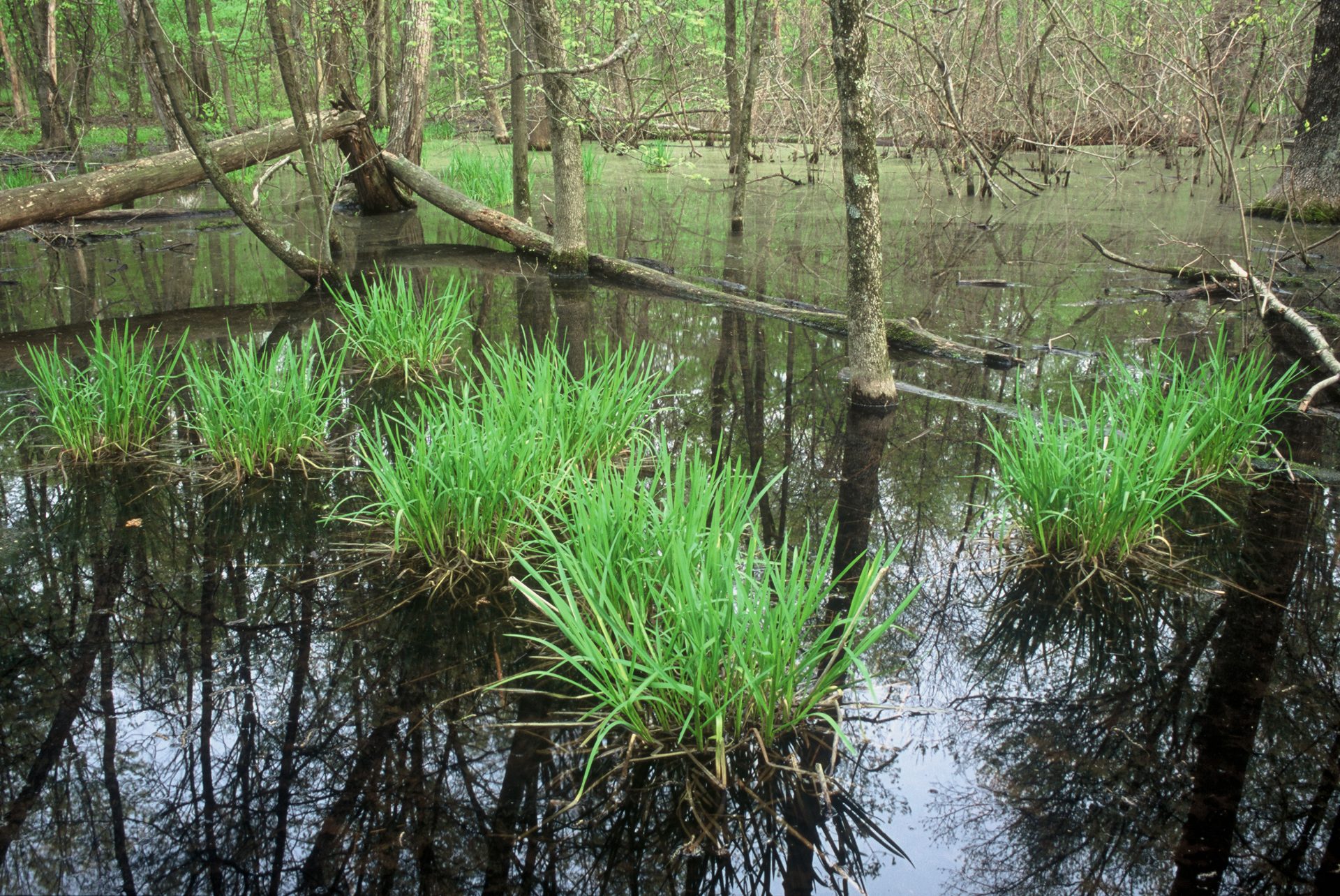 State Nature Preserves in Your Metro Parks - Metro Parks - Central Ohio ...