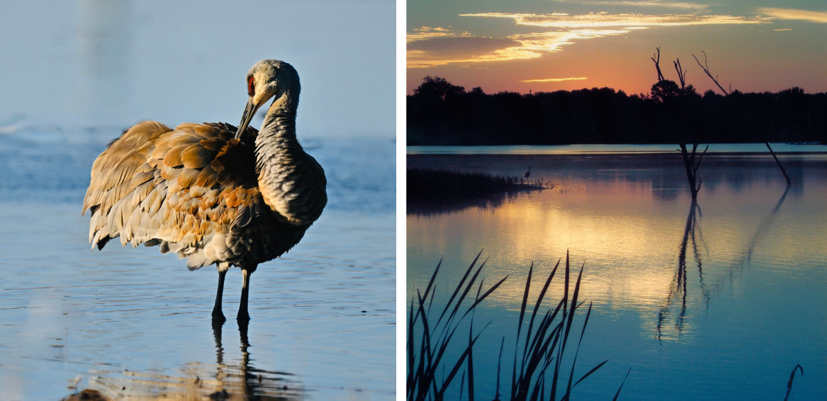 State Nature Preserves in Your Metro Parks - Metro Parks - Central Ohio ...