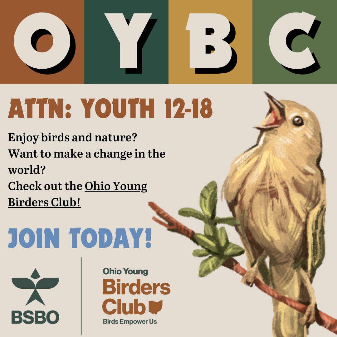 Ohio Young Birders Club - Metro Parks - Central Ohio Park System